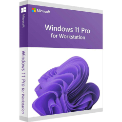 Windows 11 Pro for Workstation - ExpertLogiciel
